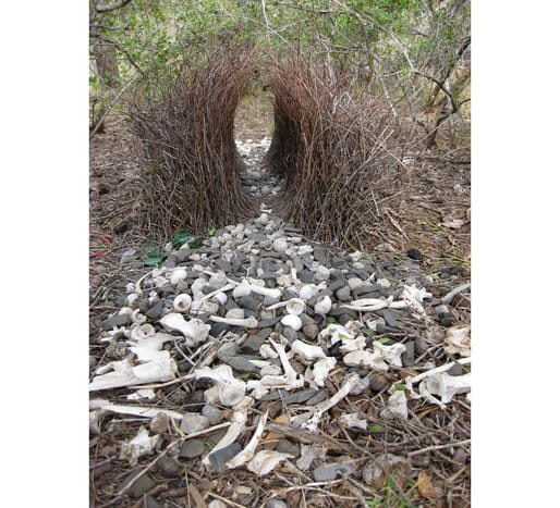 "What's wrong with the primitive hut?" explores architecture's origins ...