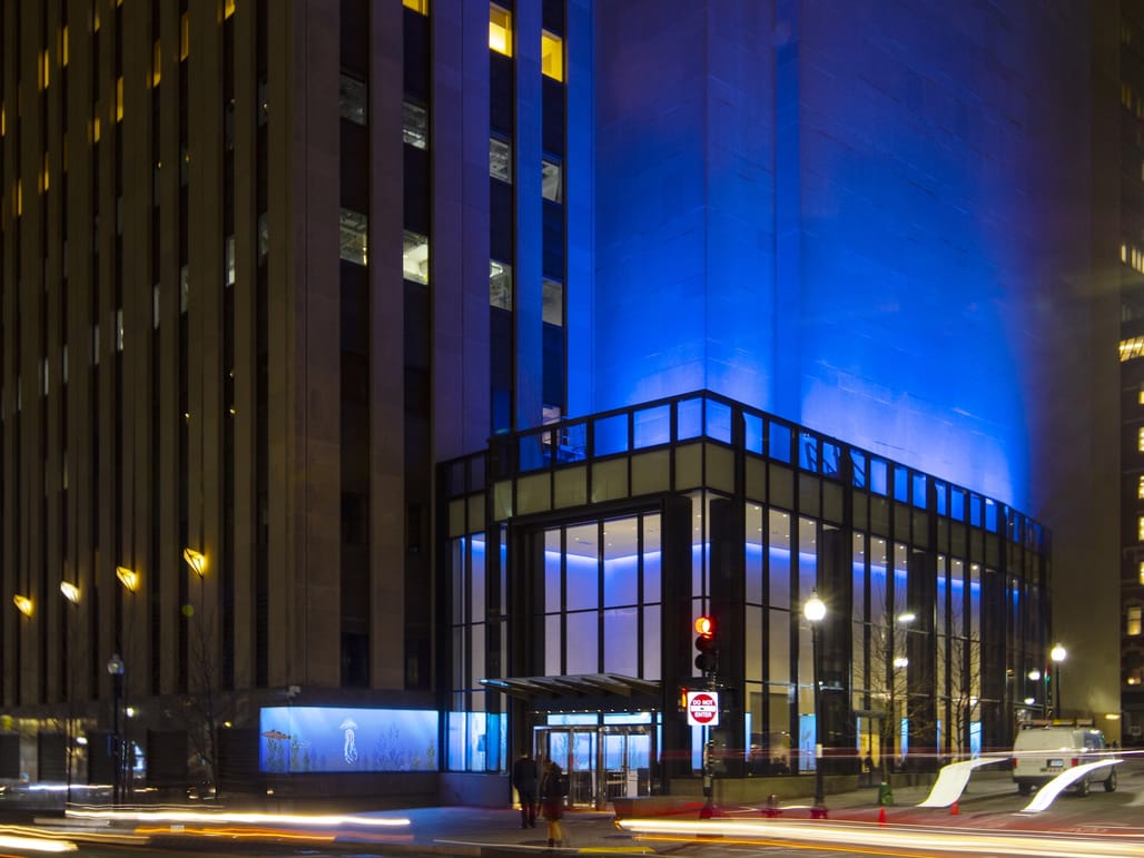 This office lobby in Boston immerses visitors in a motion-activated ...