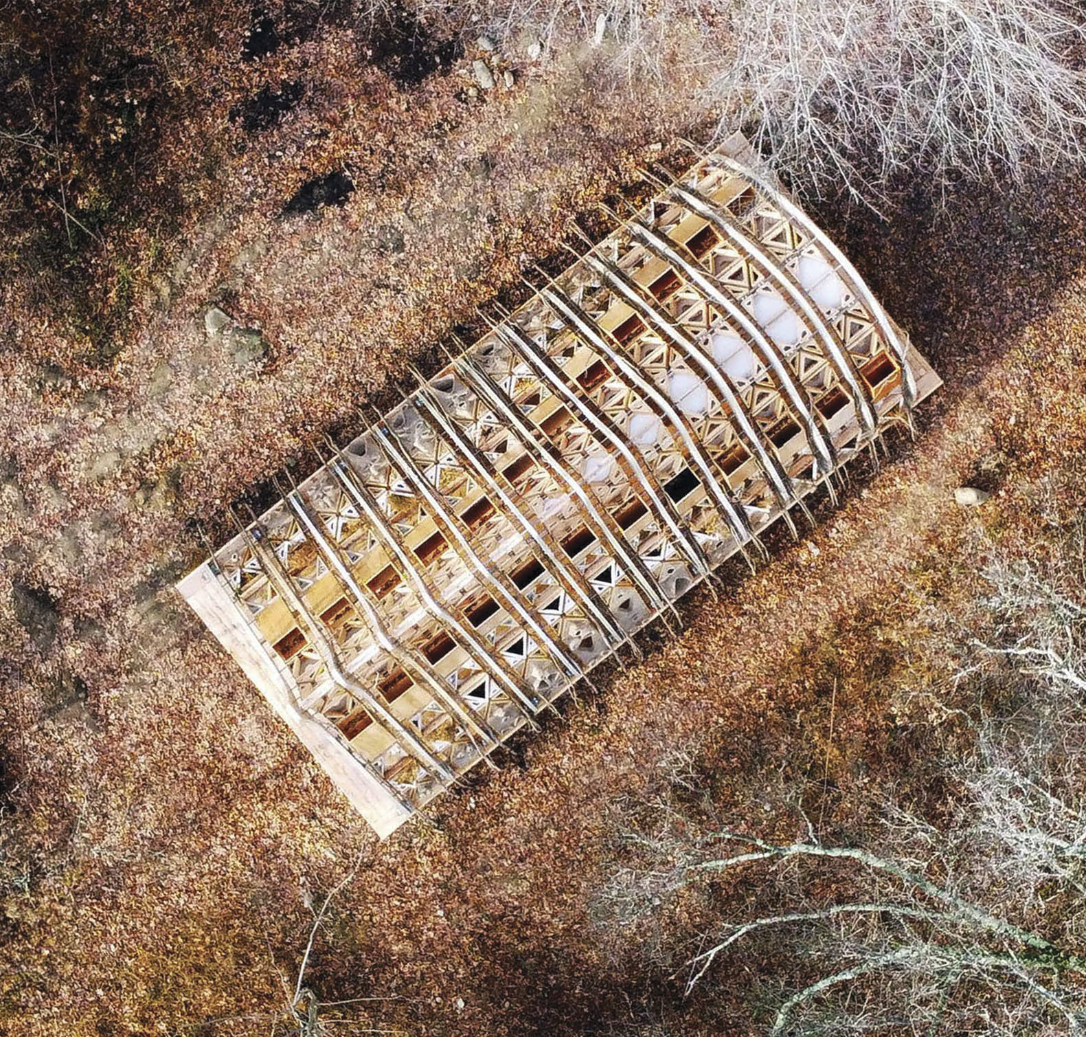 Fab Tree Hab: Multi-Species Living Structure | Terreform ONE | Archinect