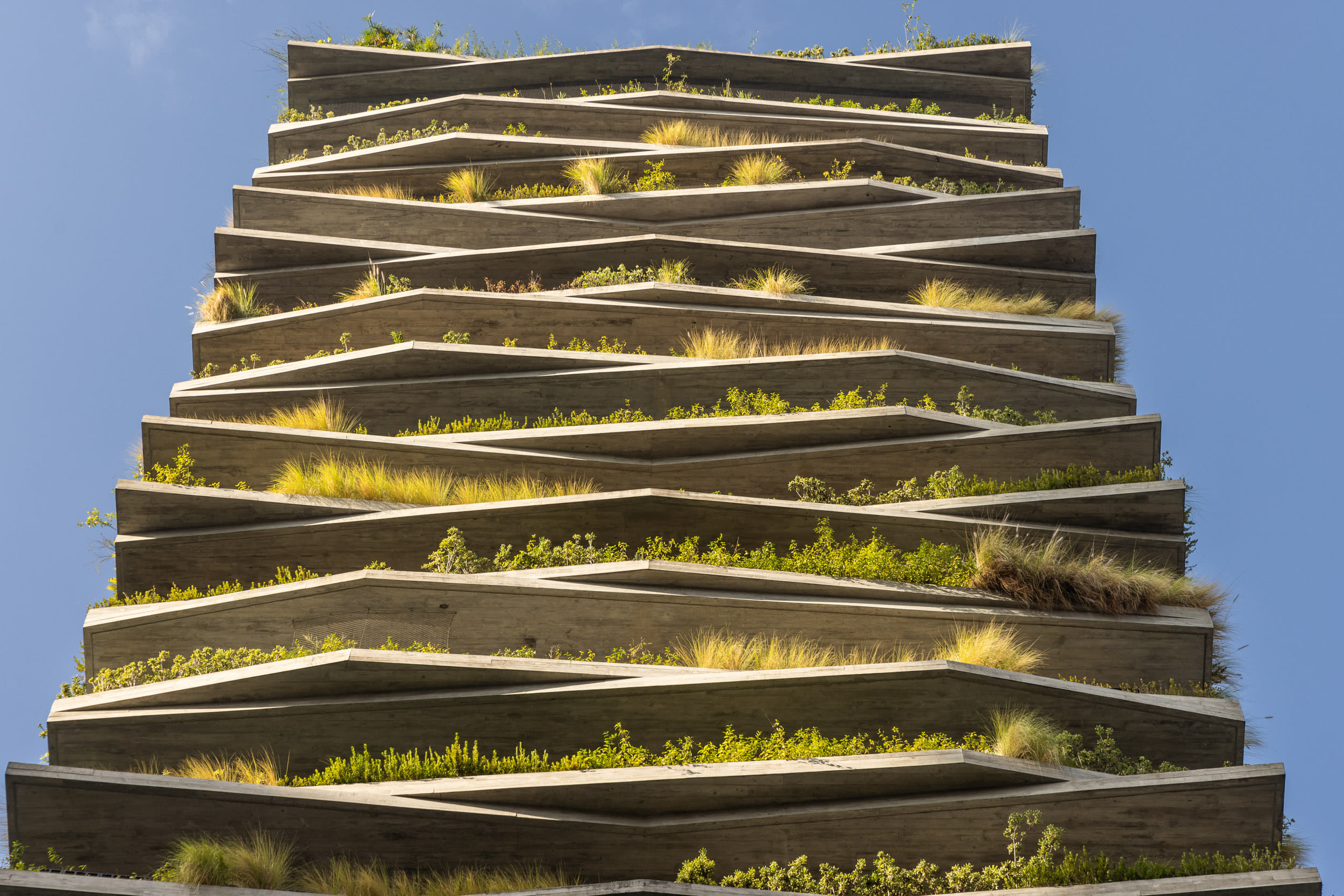 Leopoldo 1201 Building Landscaping | Rodrigo Oliveira Paisagismo ...