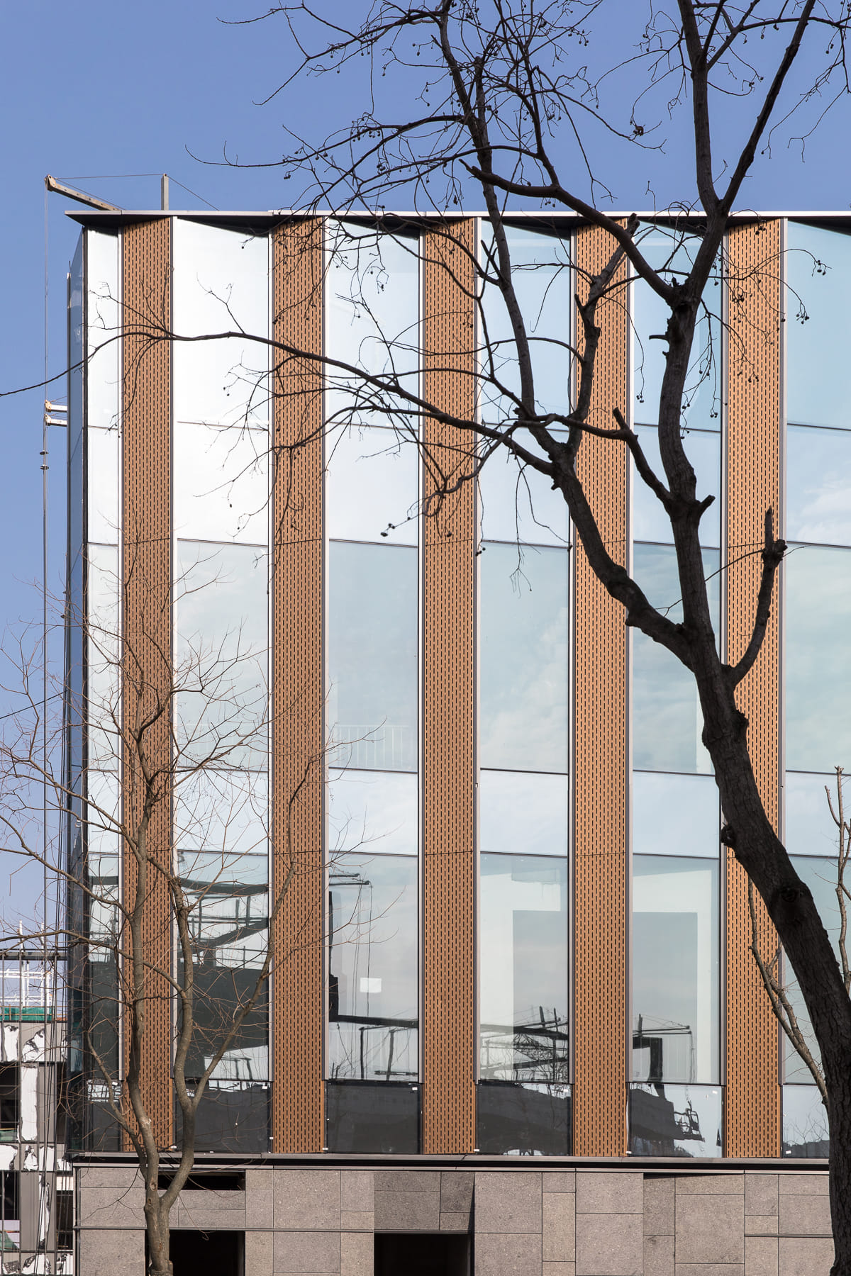 Dolphin Bay Office | Dplus Studio | Archinect