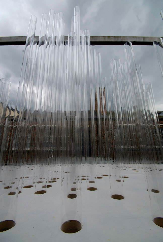 The Deceptive Landscape installation investigates generative ...