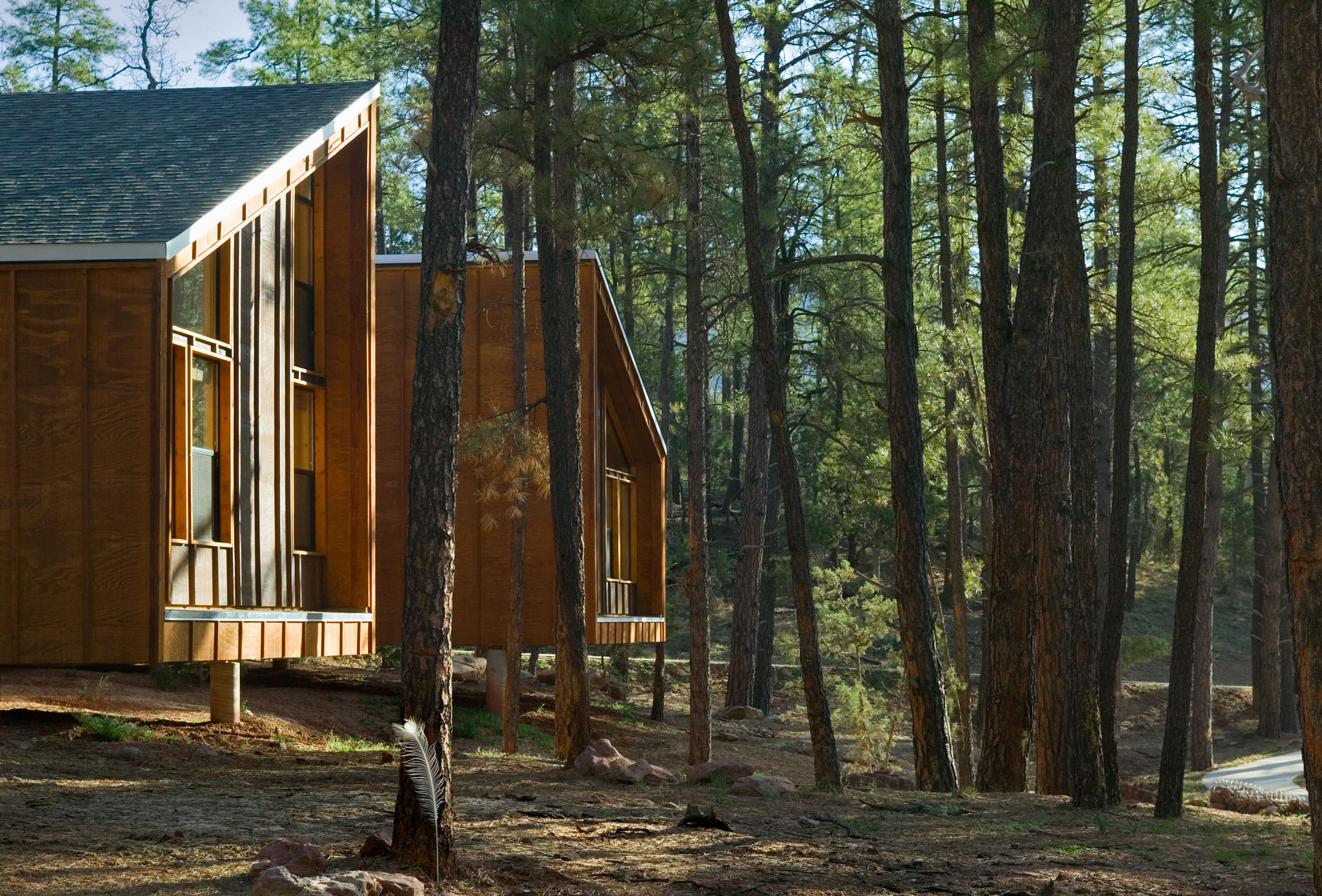 Whispering Hope Ranch | Studio Ma | Archinect