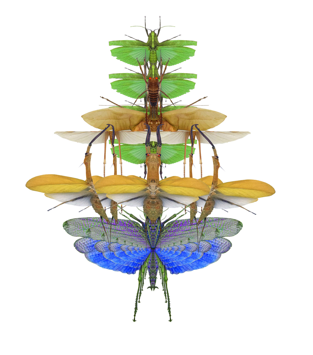 The Insectary | michael jantzen | Archinect