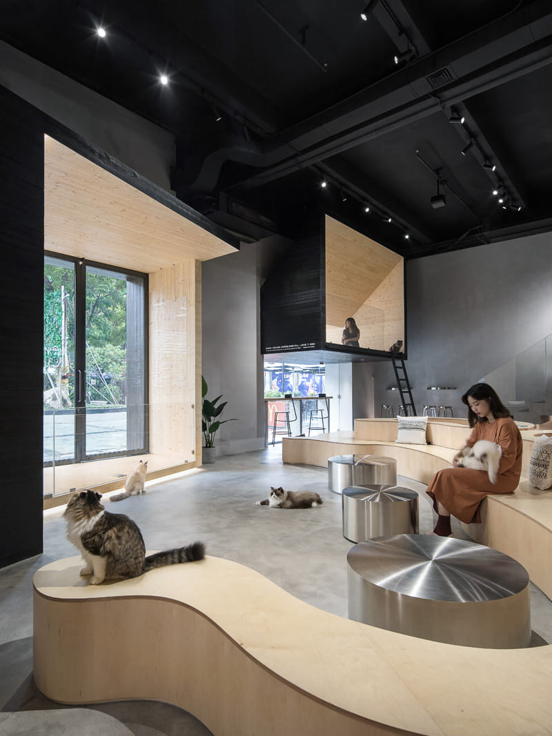 Meow Restaurant | E Studio | E Studio | Archinect