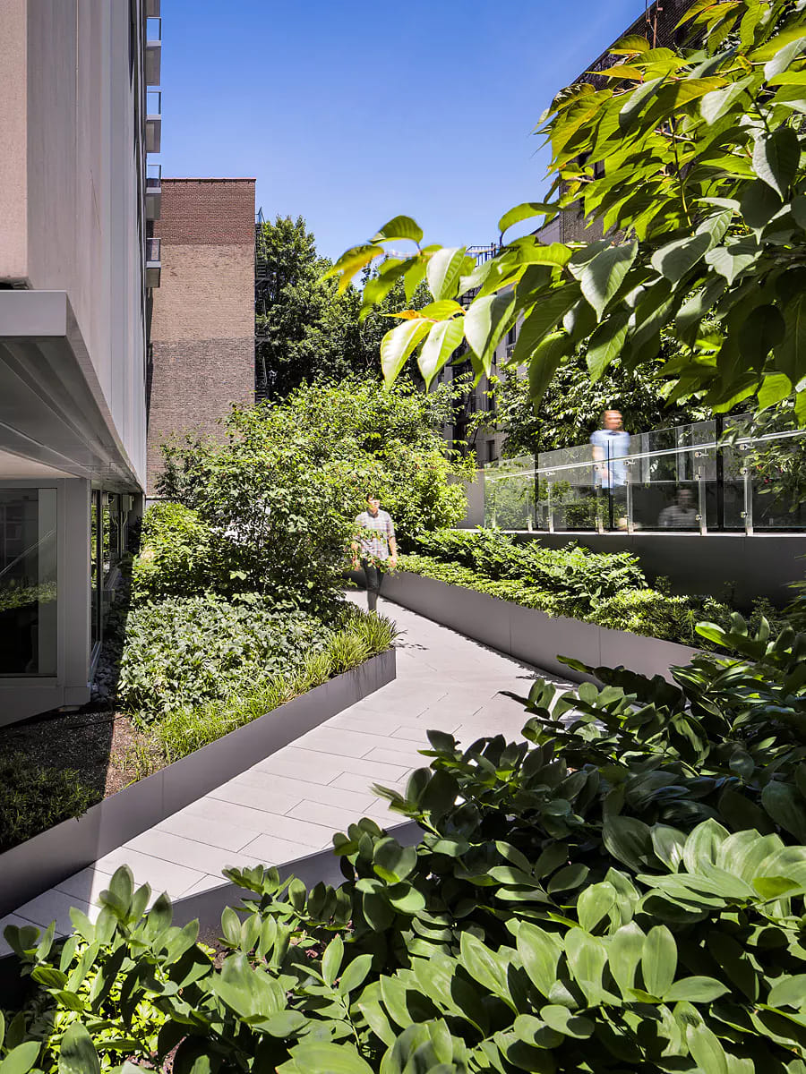 Biophilia: 10 fresh examples of nature and architecture coexisting ...