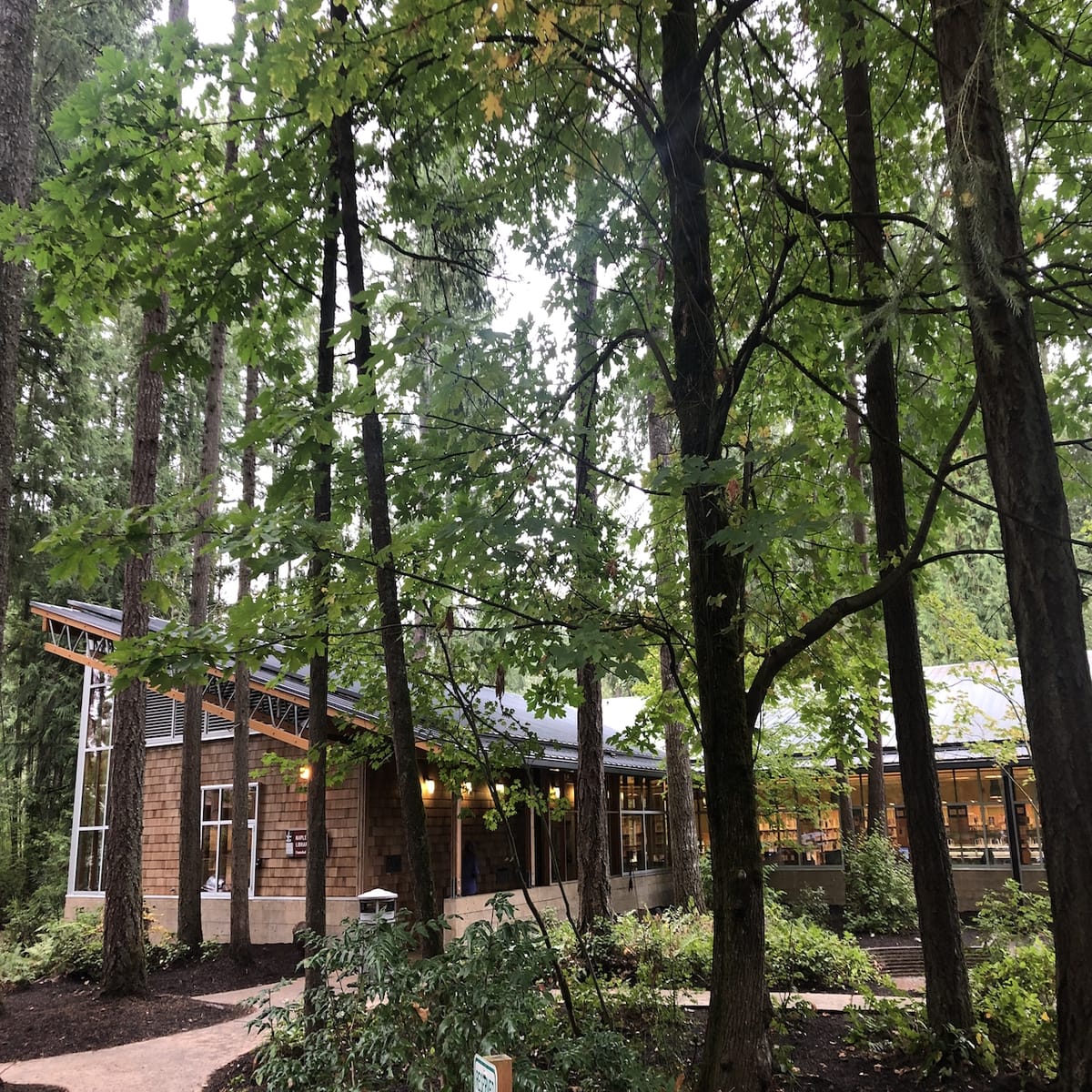 Maple Valley Library | Johnston Architects | Archinect