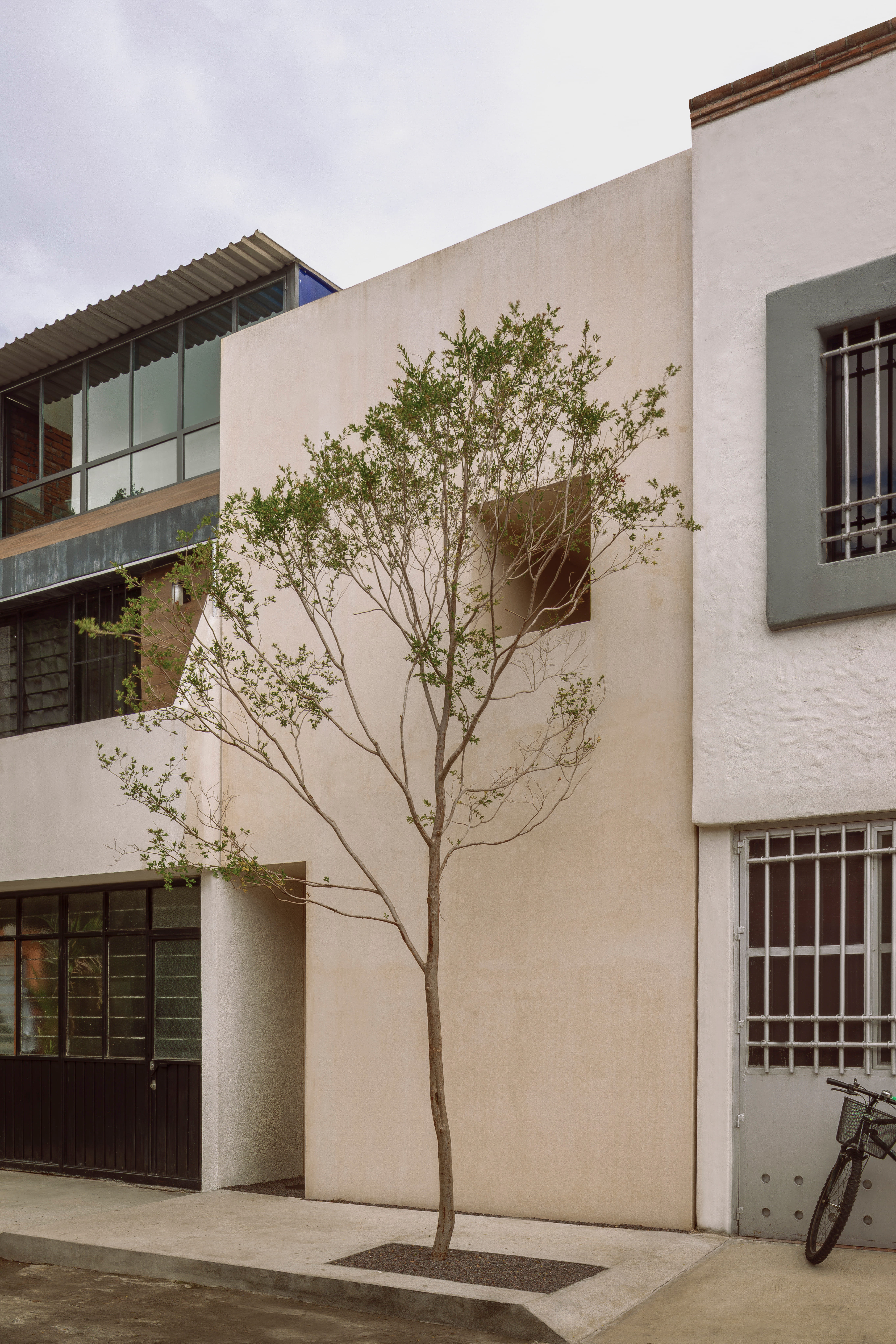 Take a look inside this Paula Rego Museum inspired infill home design ...