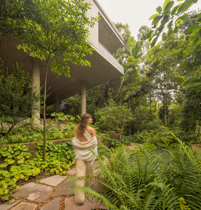 Studio MK27's Brazilian Canopy House is full of surprising nature ...