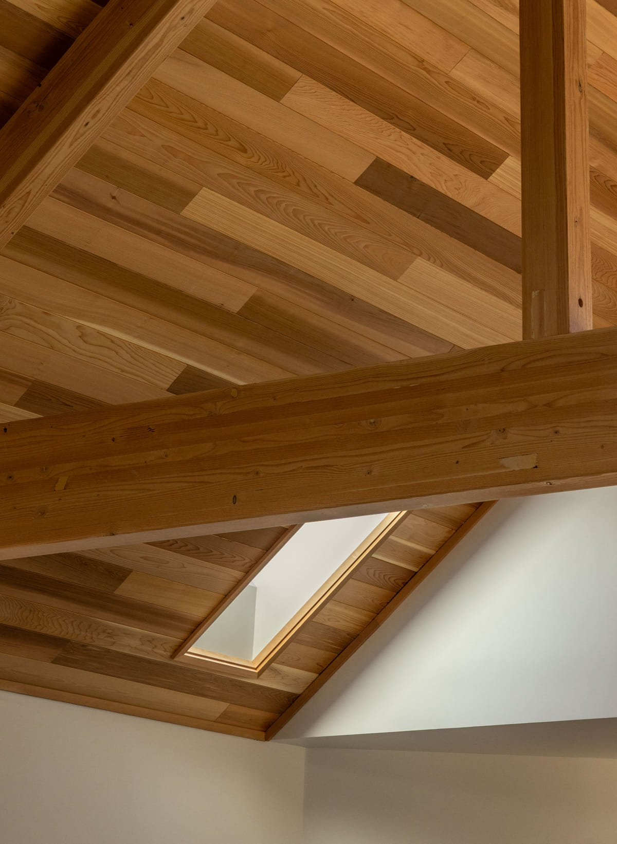 Pavilion | ONOMA ARCHITECTURE | Archinect