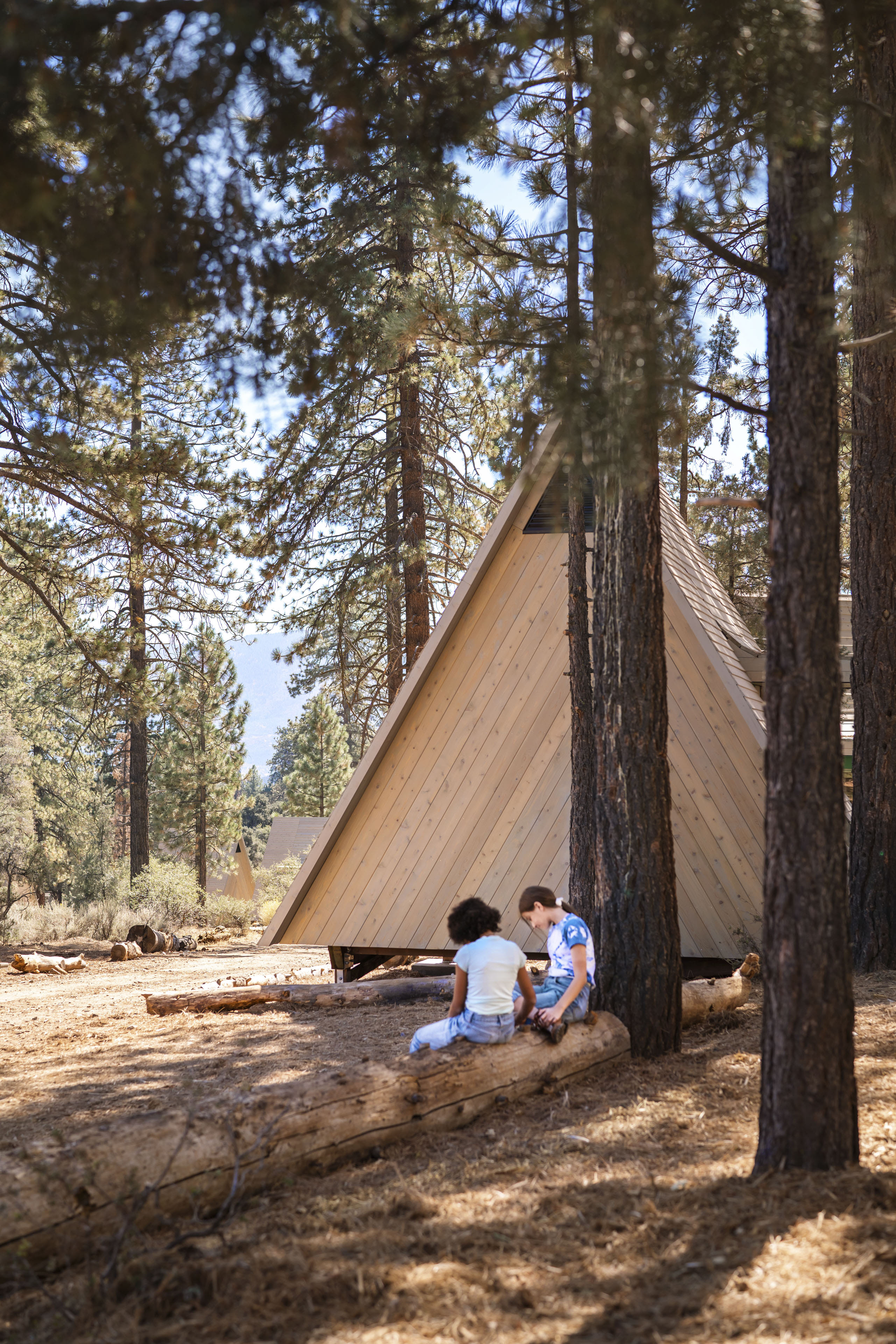 Girl Scout Camp Lakota | Perkins&Will | Archinect