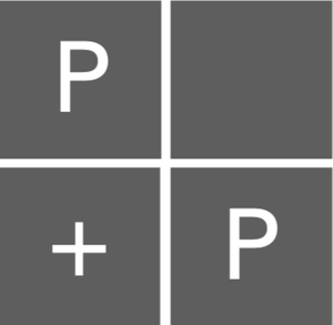 Practice+Projects Ltd | Archinect