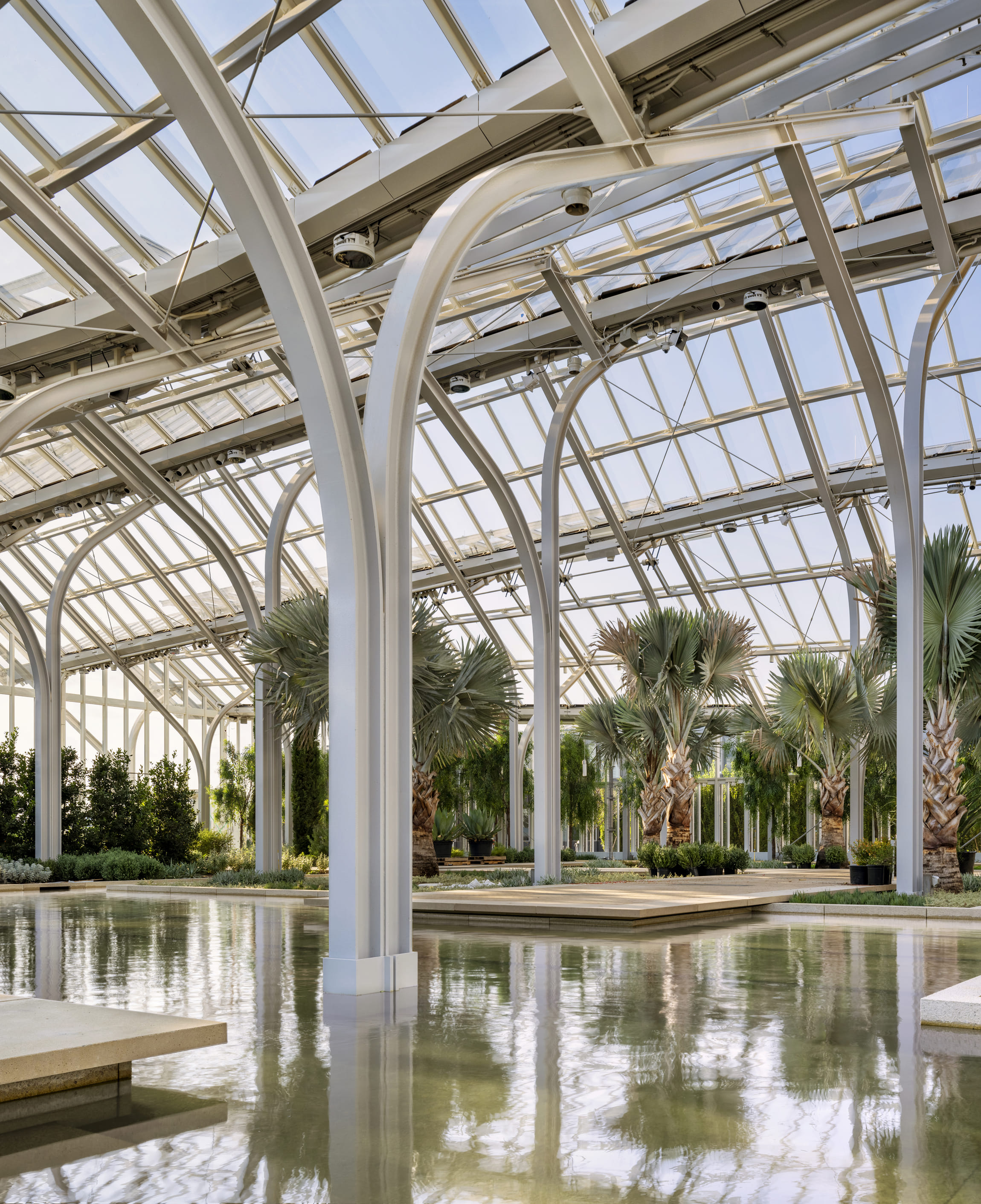 Longwood Gardens shares sneak preview ahead Longwood Reimagined opening ...