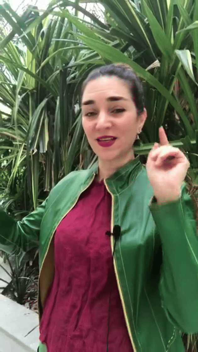 Raya Ani | Critical Thinking | RAYA ANI | Archinect