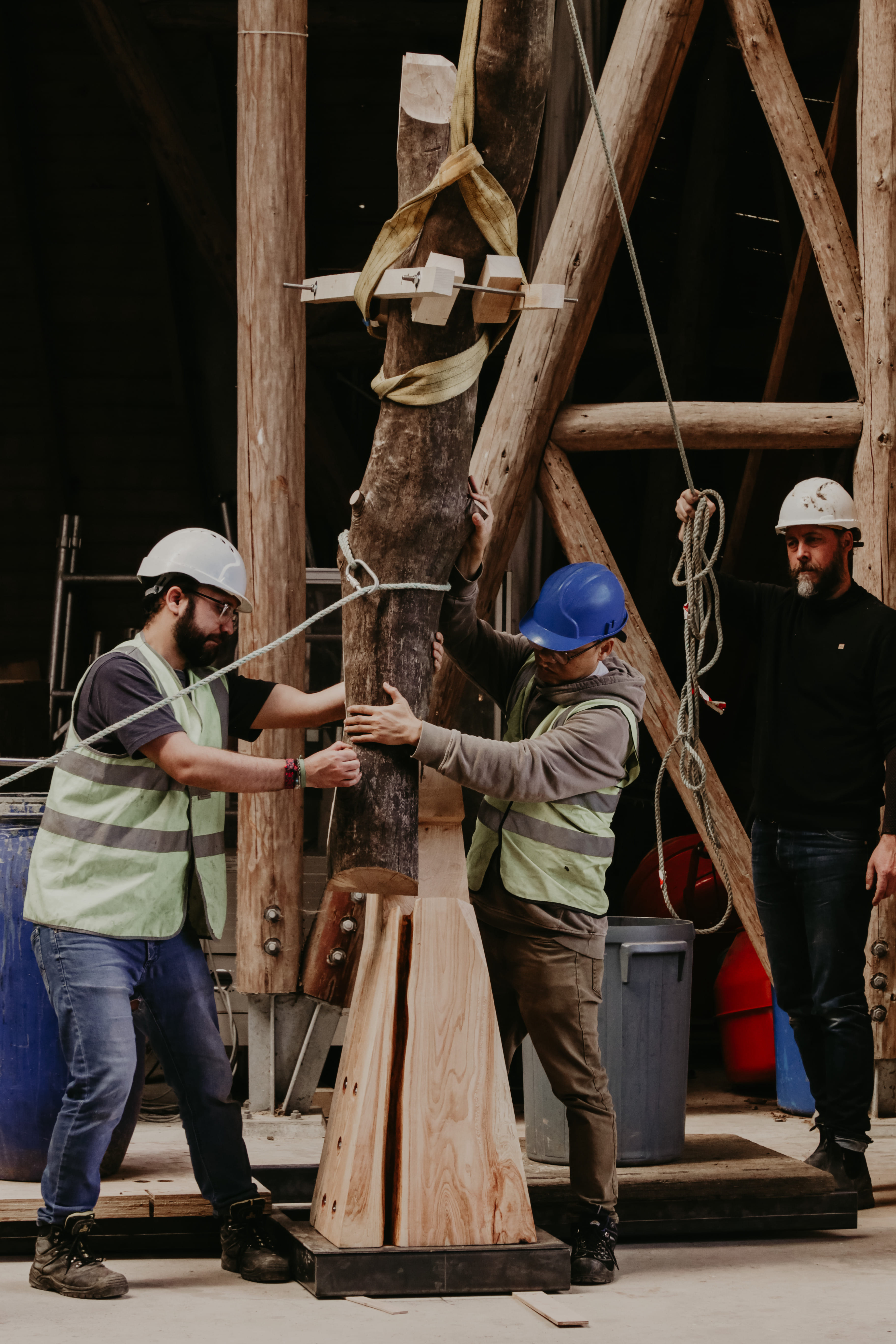 AA School of Architecture students construct timber 'Tree and Truss ...