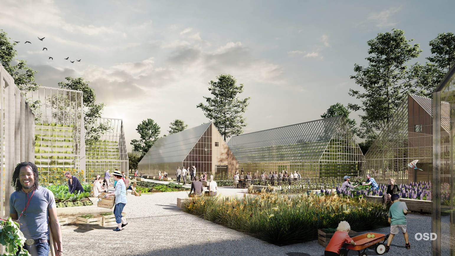 OSD’s new South Cato Springs development provides nurturing space for ...