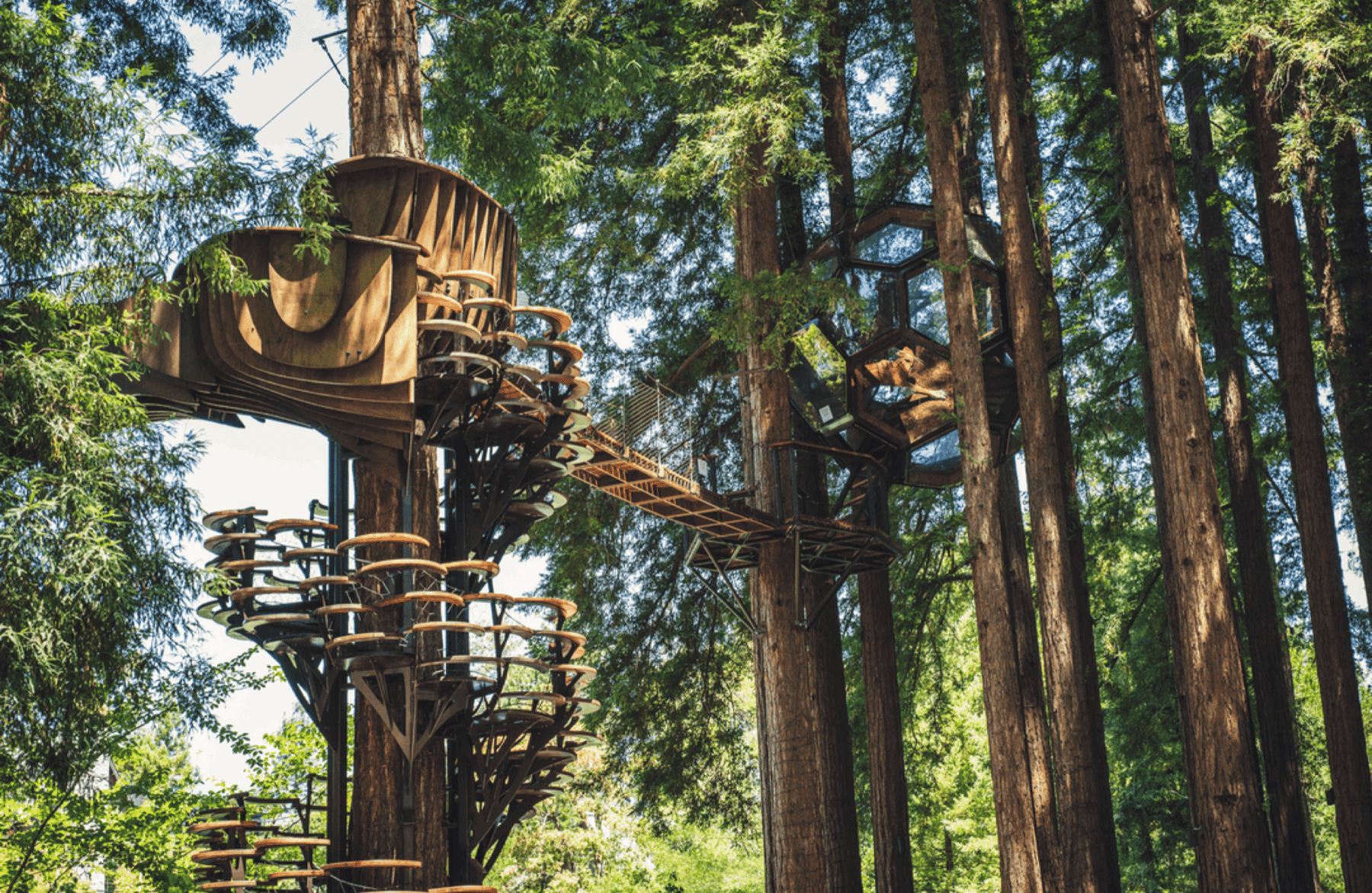 In California’s forests, a ‘whimsical’ treehouse rises inspired by ...