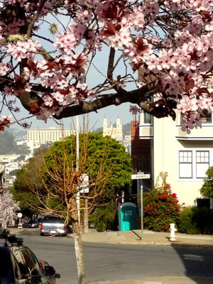 Anthony Heller | Archinect