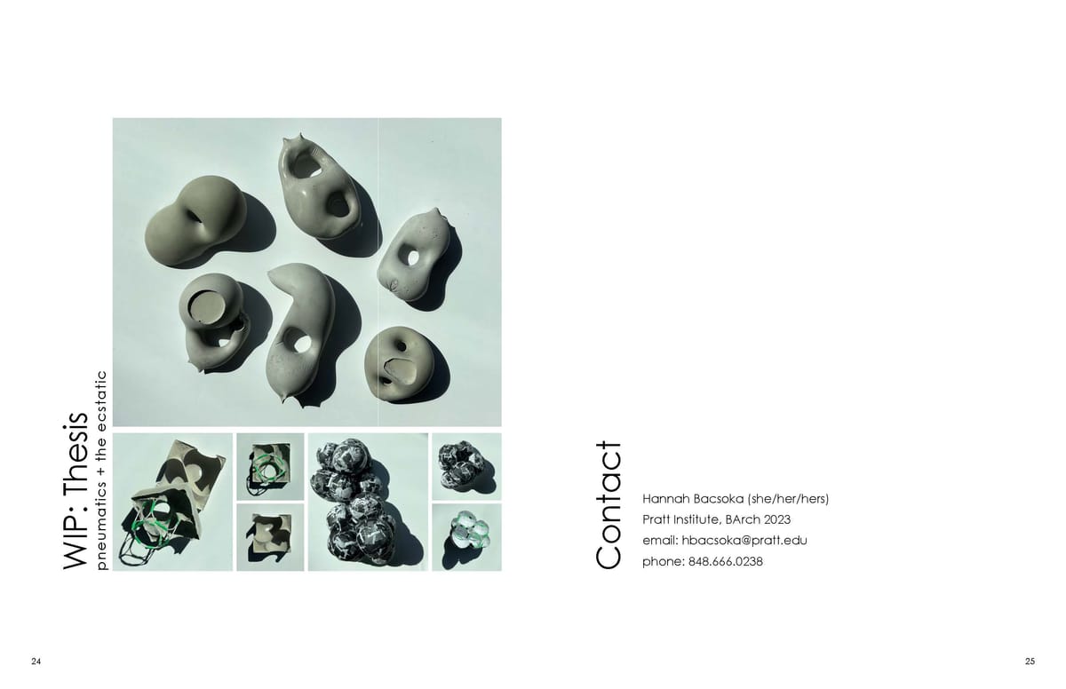 Thesis | Hannah Bacsoka | Archinect