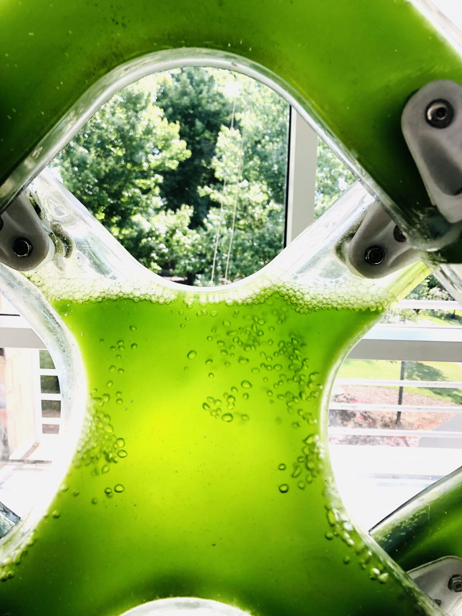 UNC Charlotte architecture professor awarded $1 million grant towards ...