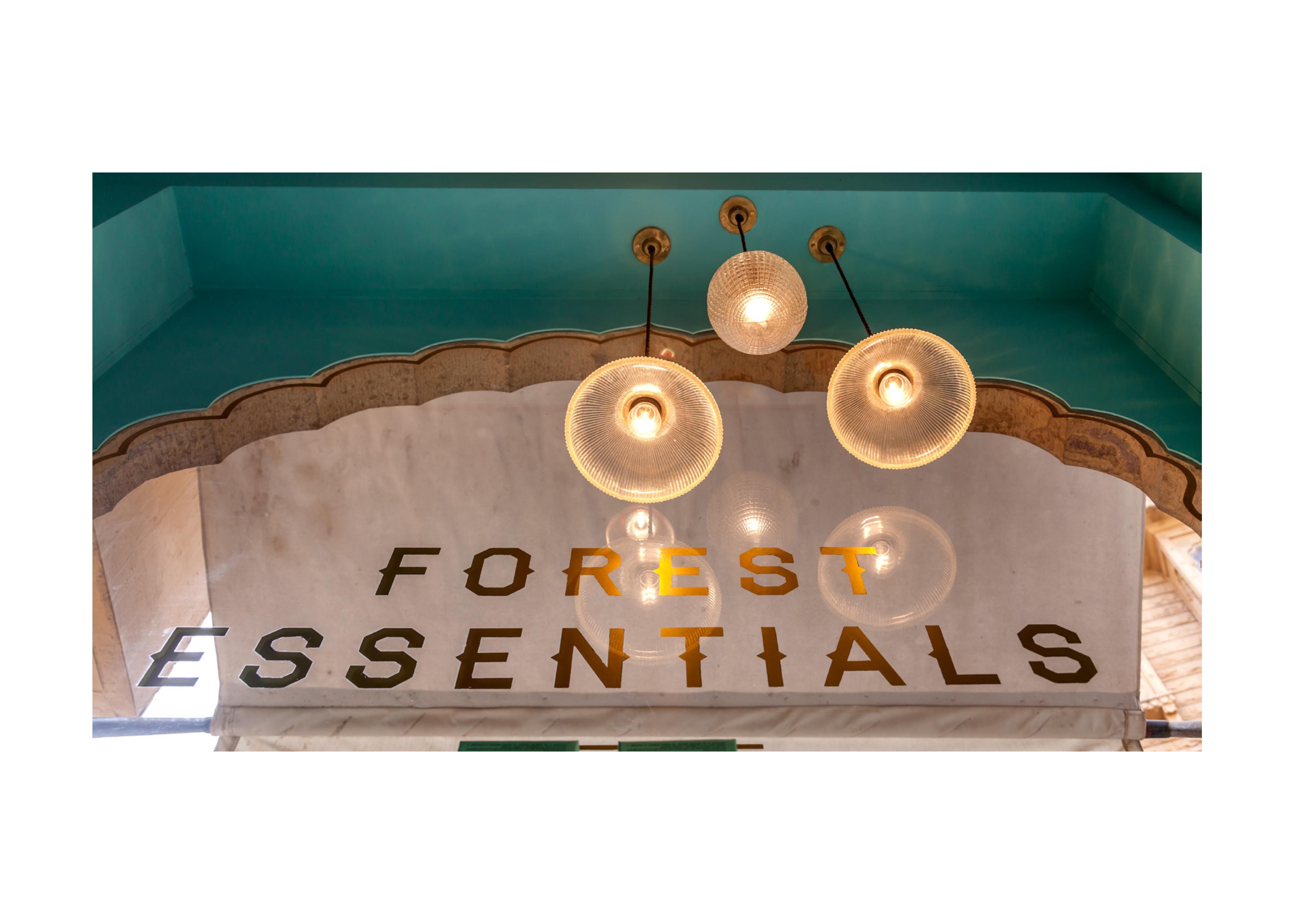 FOREST ESSENTIALS | Architecture Discipline | Archinect