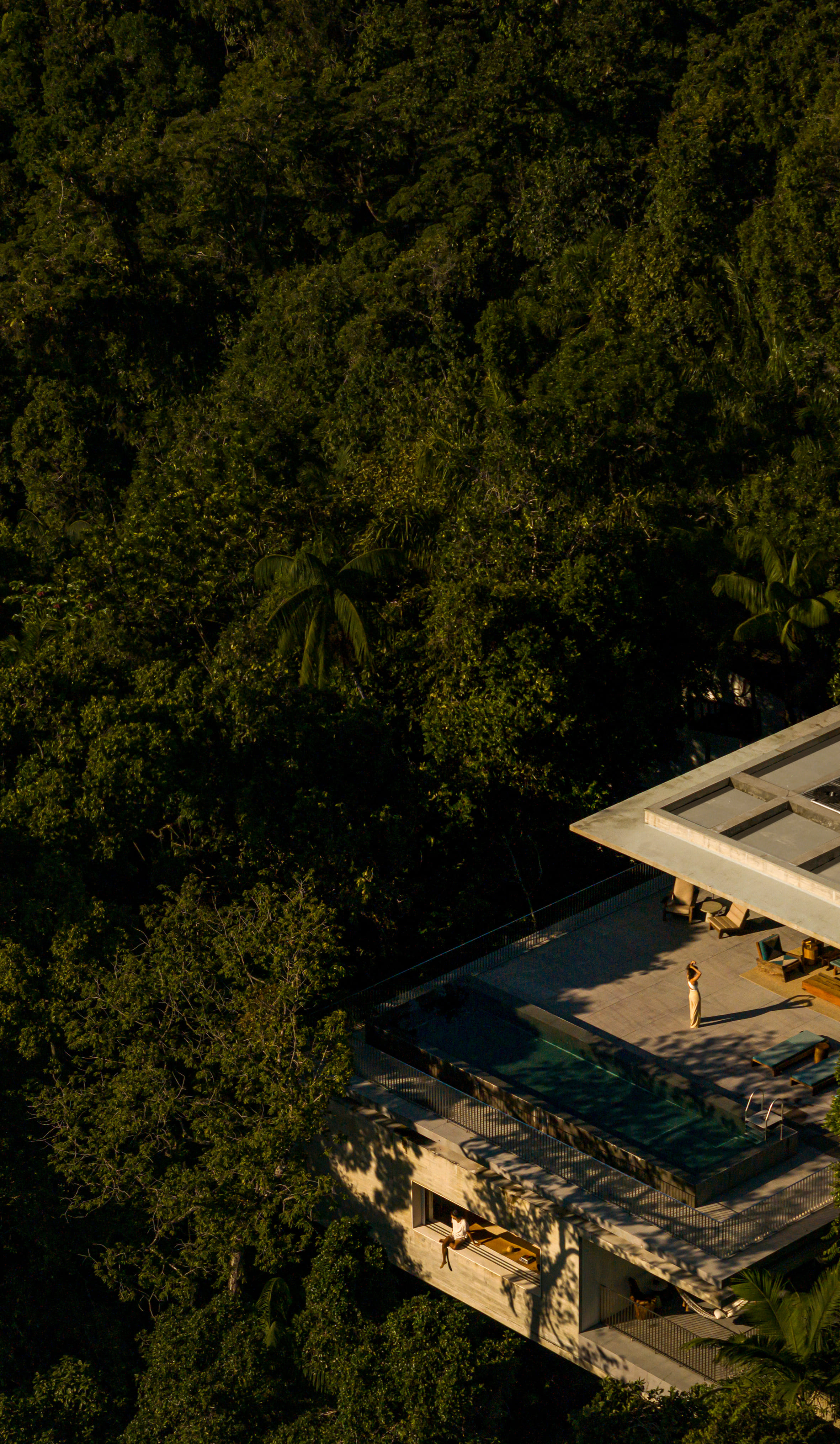 Studio MK27's Brazilian Canopy House is full of surprising nature ...