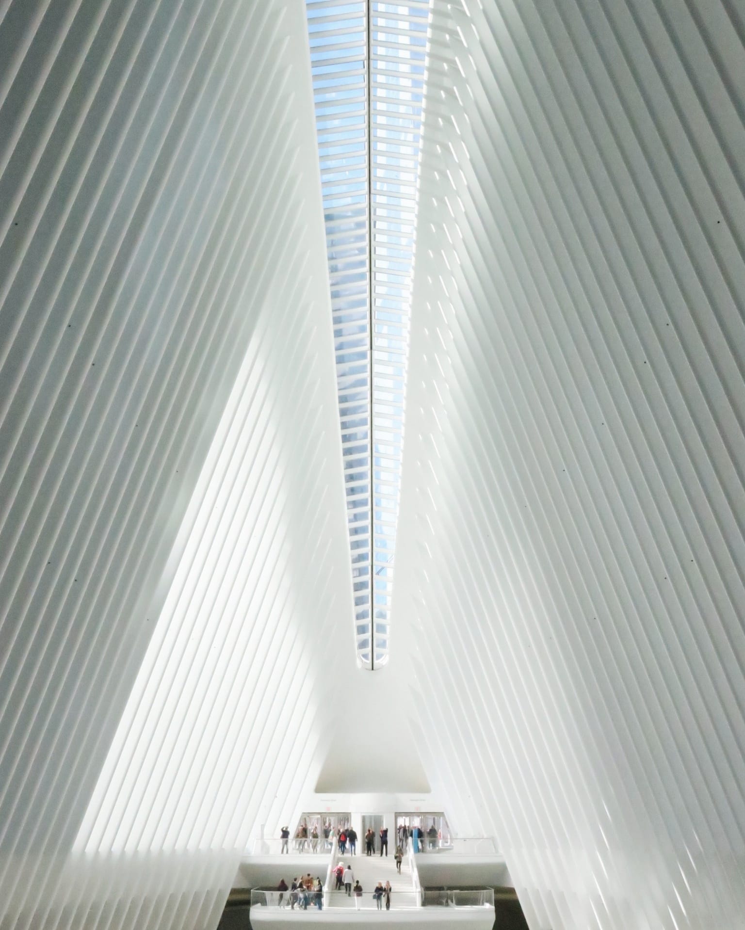 In Focus: Helin Bereket Discusses Architecture's Emotions Through ...