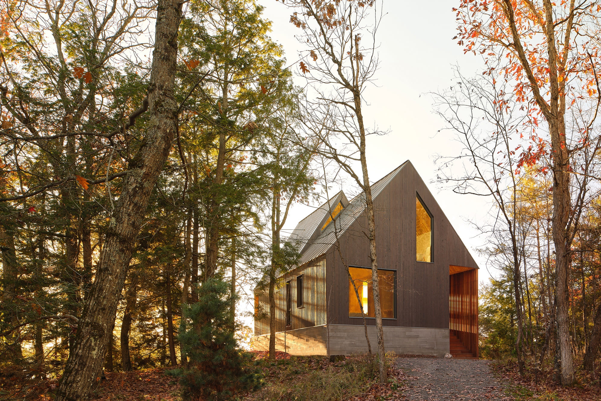 In rural Ontario, a timber cabin by Dubbeldam Architecture + Design ...