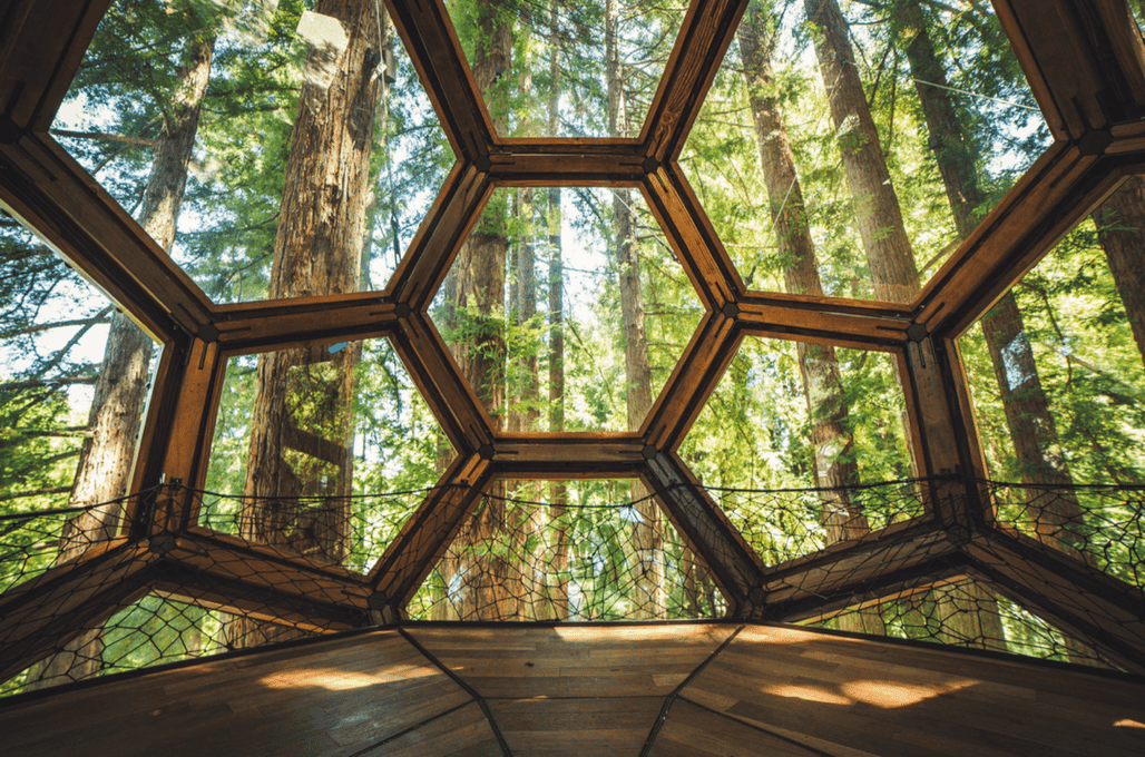 In California’s forests, a ‘whimsical’ treehouse rises inspired by ...