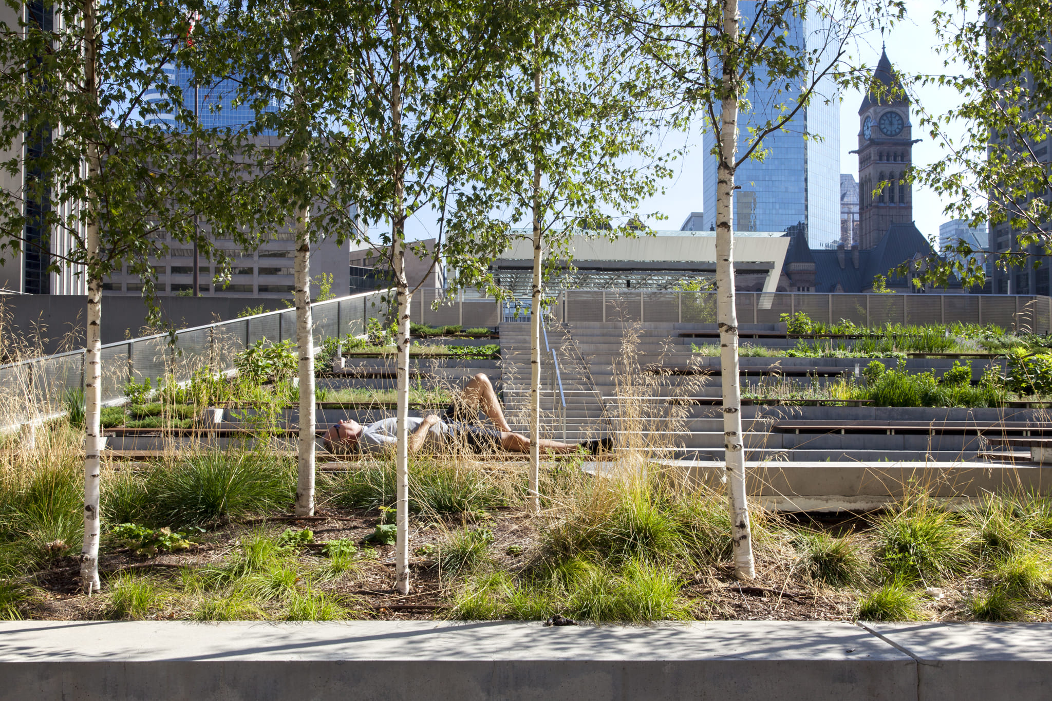 Nathan Phillips Square Peace Garden | PLANT Architect Inc. | Archinect