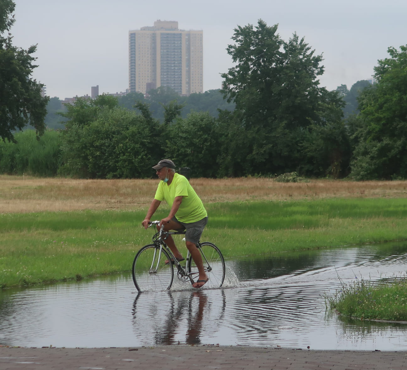 NPR on sponge cities, Kongjian Yu, and the future of flood mitigation ...