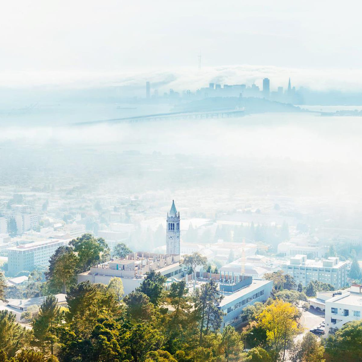 CED Summer Program Application Deadlines are Approaching | UC Berkeley ...