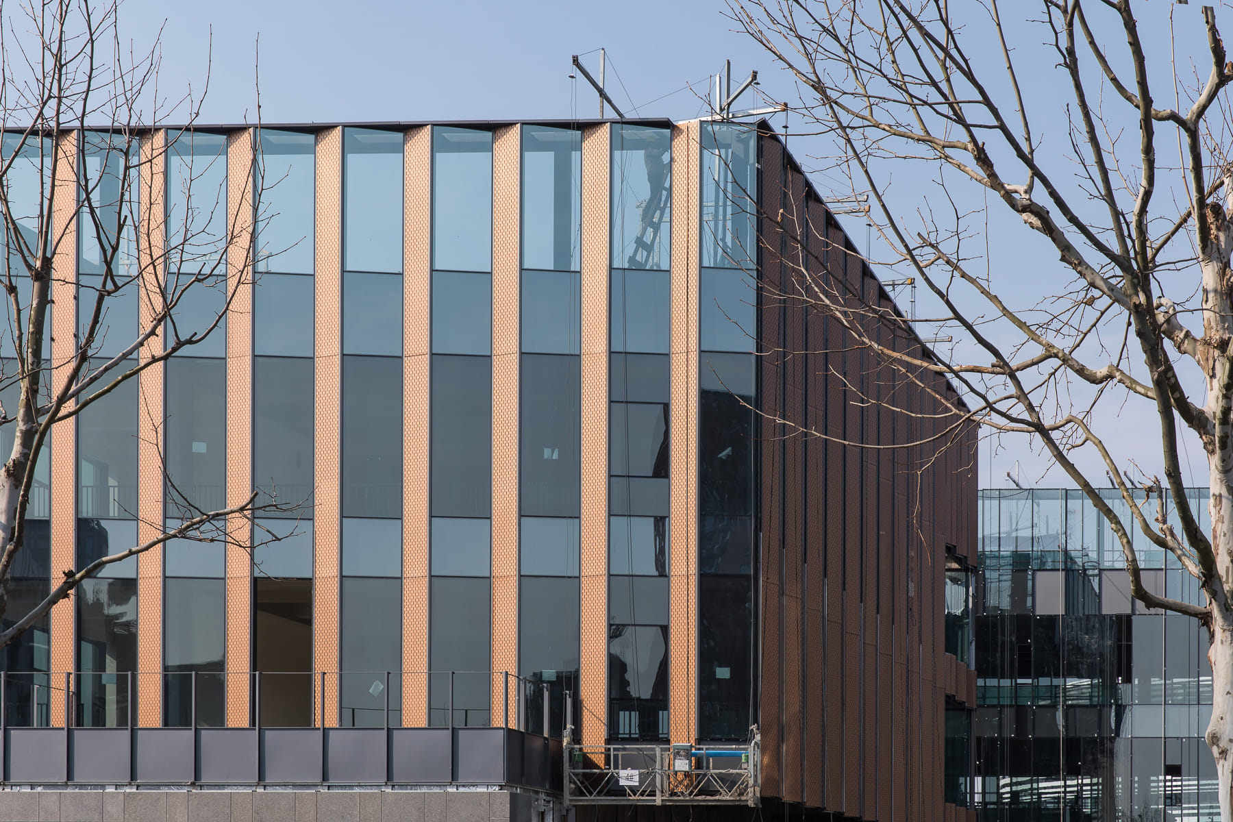 Dolphin Bay Office | Dplus Studio | Archinect