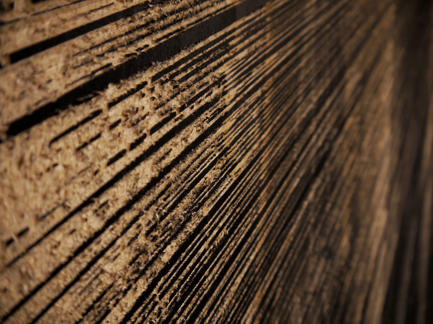 Joseph Choma’s latest installation “Line 01” on display until the end ...