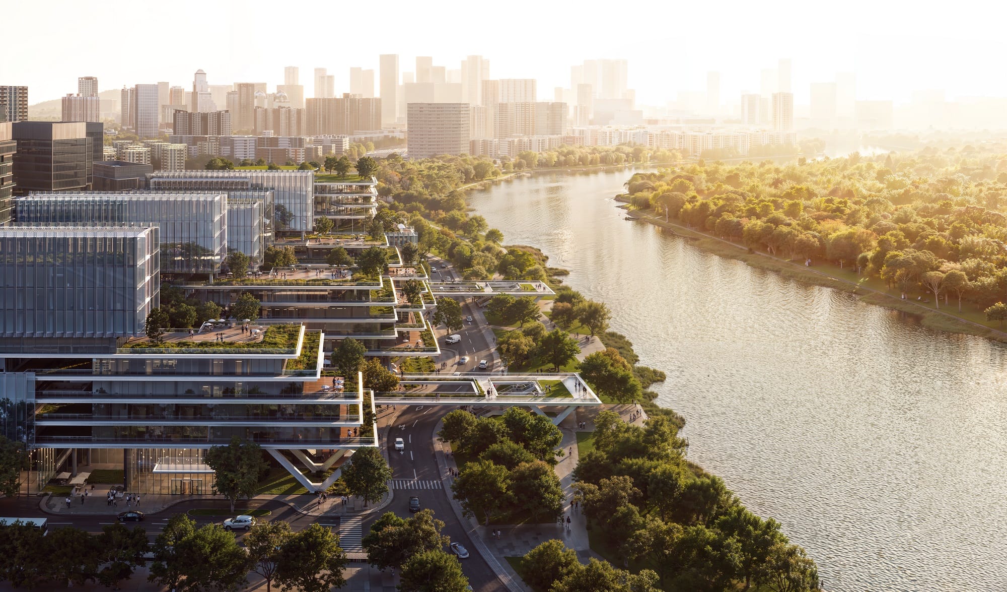 A Vision for Biophilic Development in the Hetao Shenzhen-Hong Kong ...