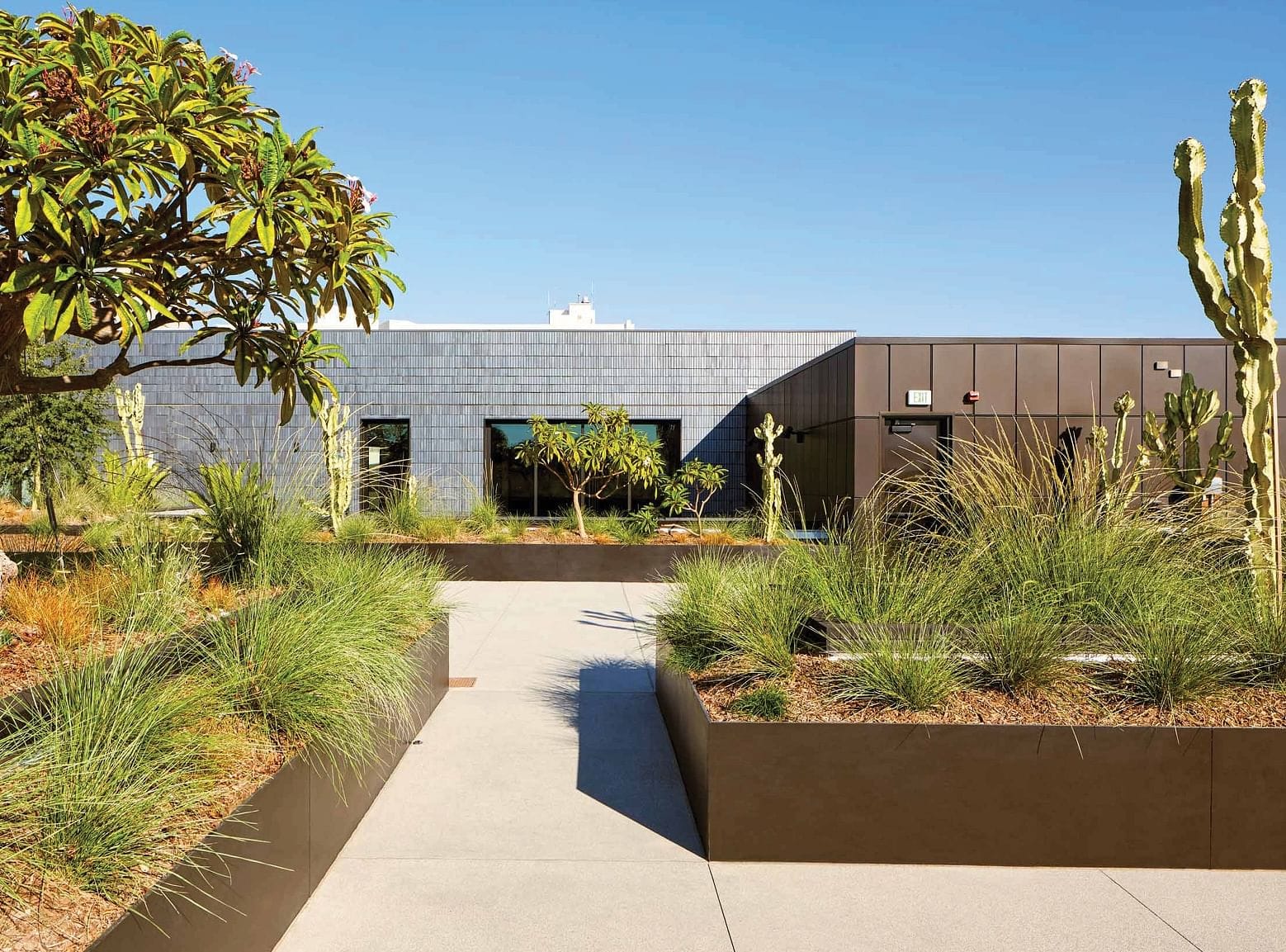 Four award-winning California projects by Abramson Architects: Your ...