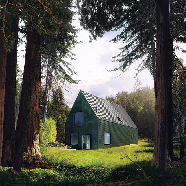 Understanding Visual Perspectives Through Risk and Research with ...