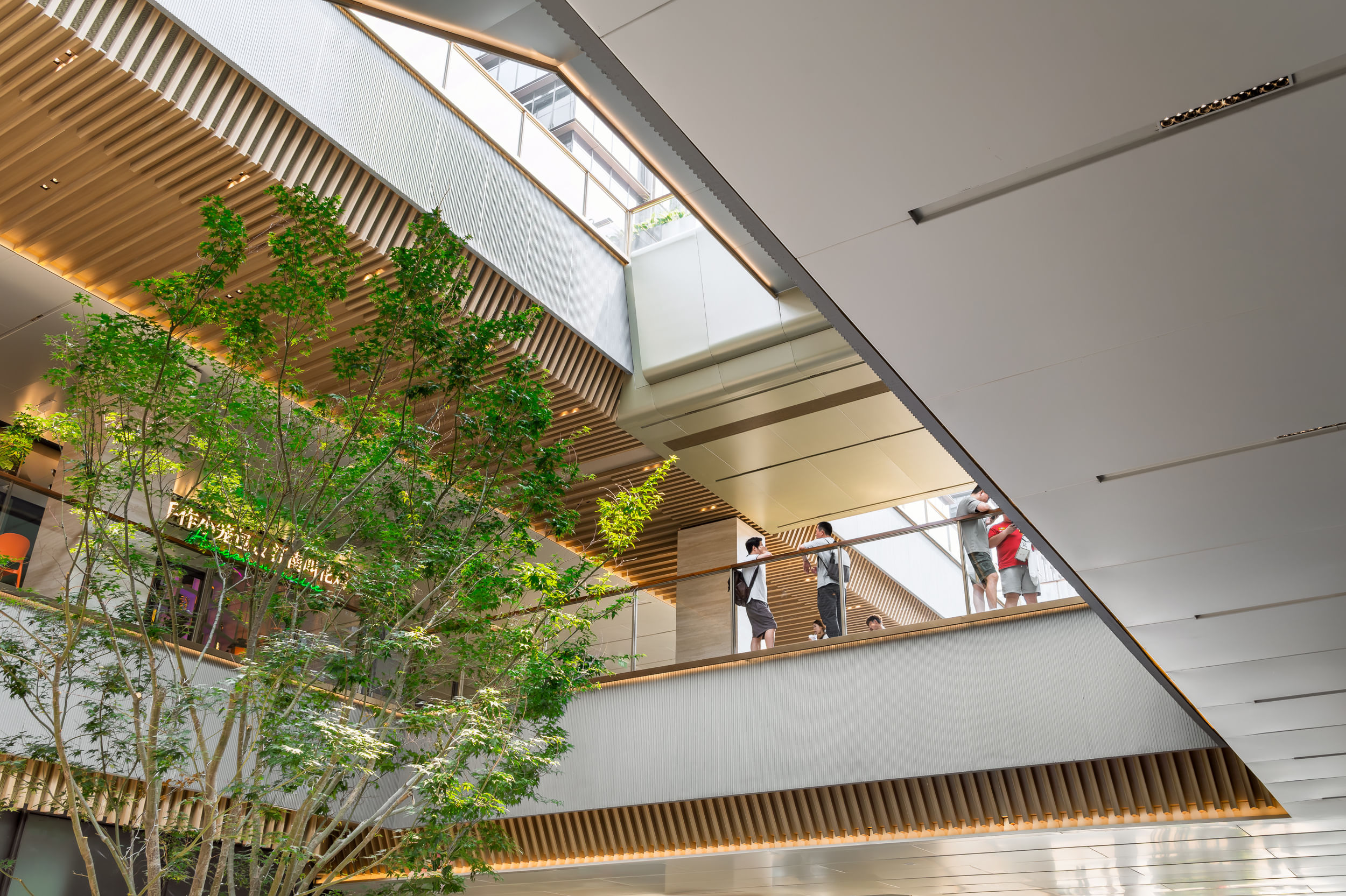 Daji Xiang | Lead8 | Archinect