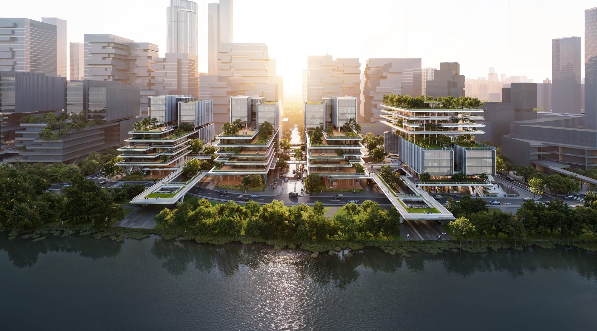 A Vision for Biophilic Development in the Hetao Shenzhen-Hong Kong ...