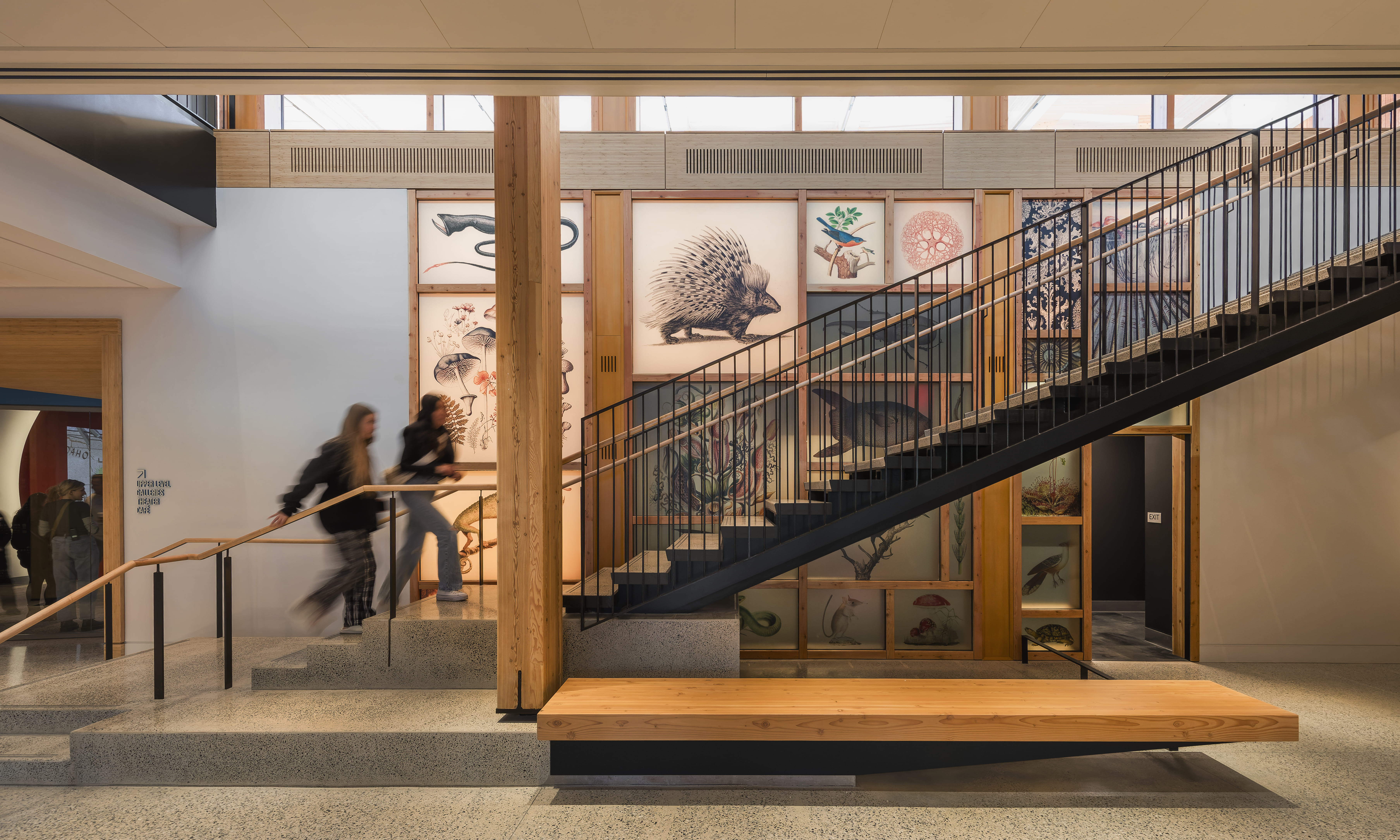 Ennead completes new dinosaur fossil museum for New Jersey's Rowan ...