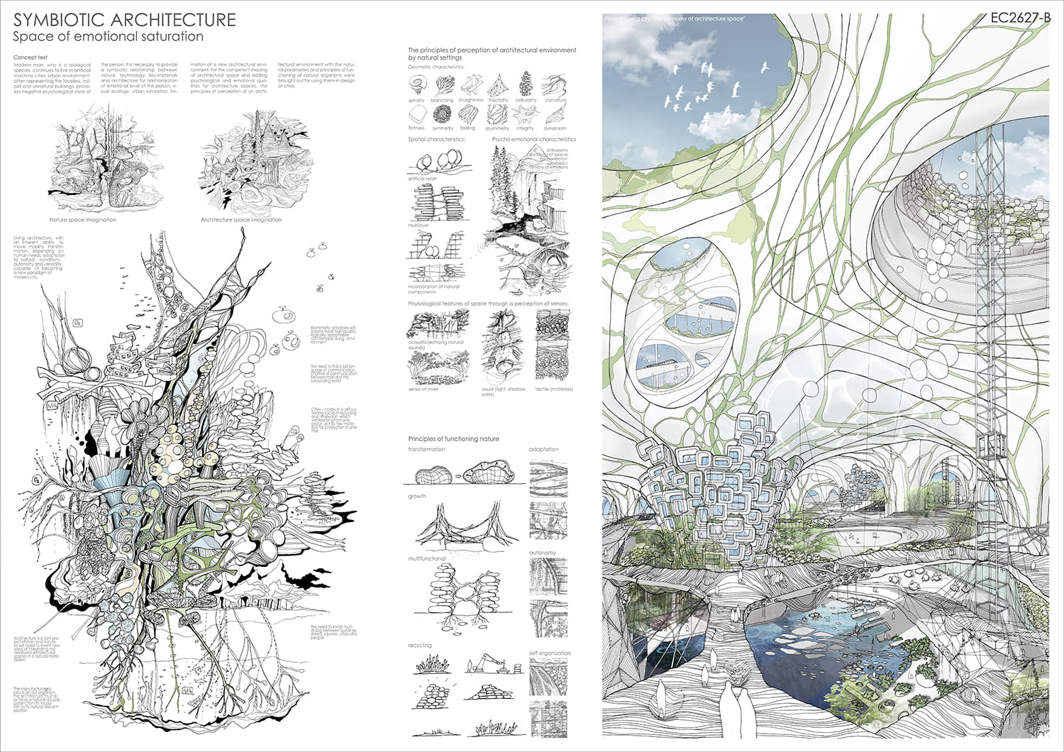 Announcing the winners of Eleven's “Biomimicry” ideas competition