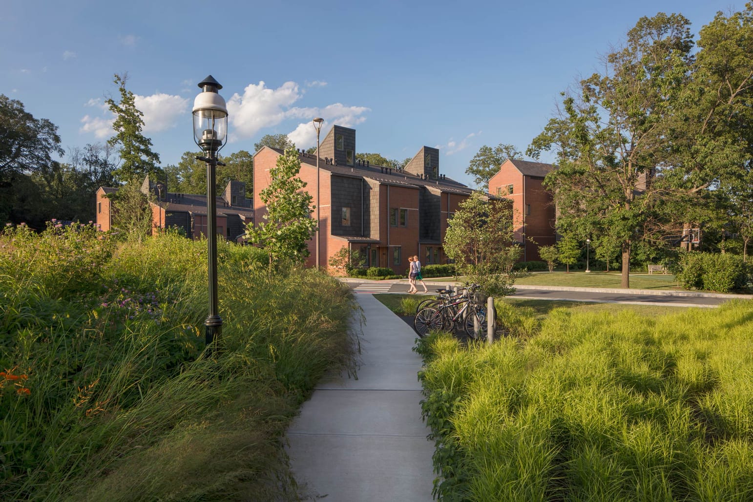 Five campus projects by sustainability champions Studio Ma: Your Next ...