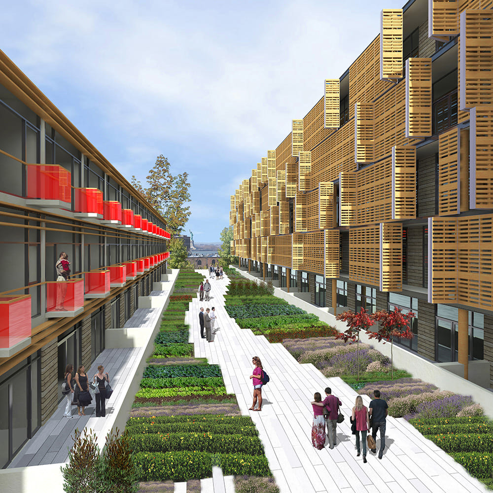 Winners of the Timber in the City: Urban Habitats Competition