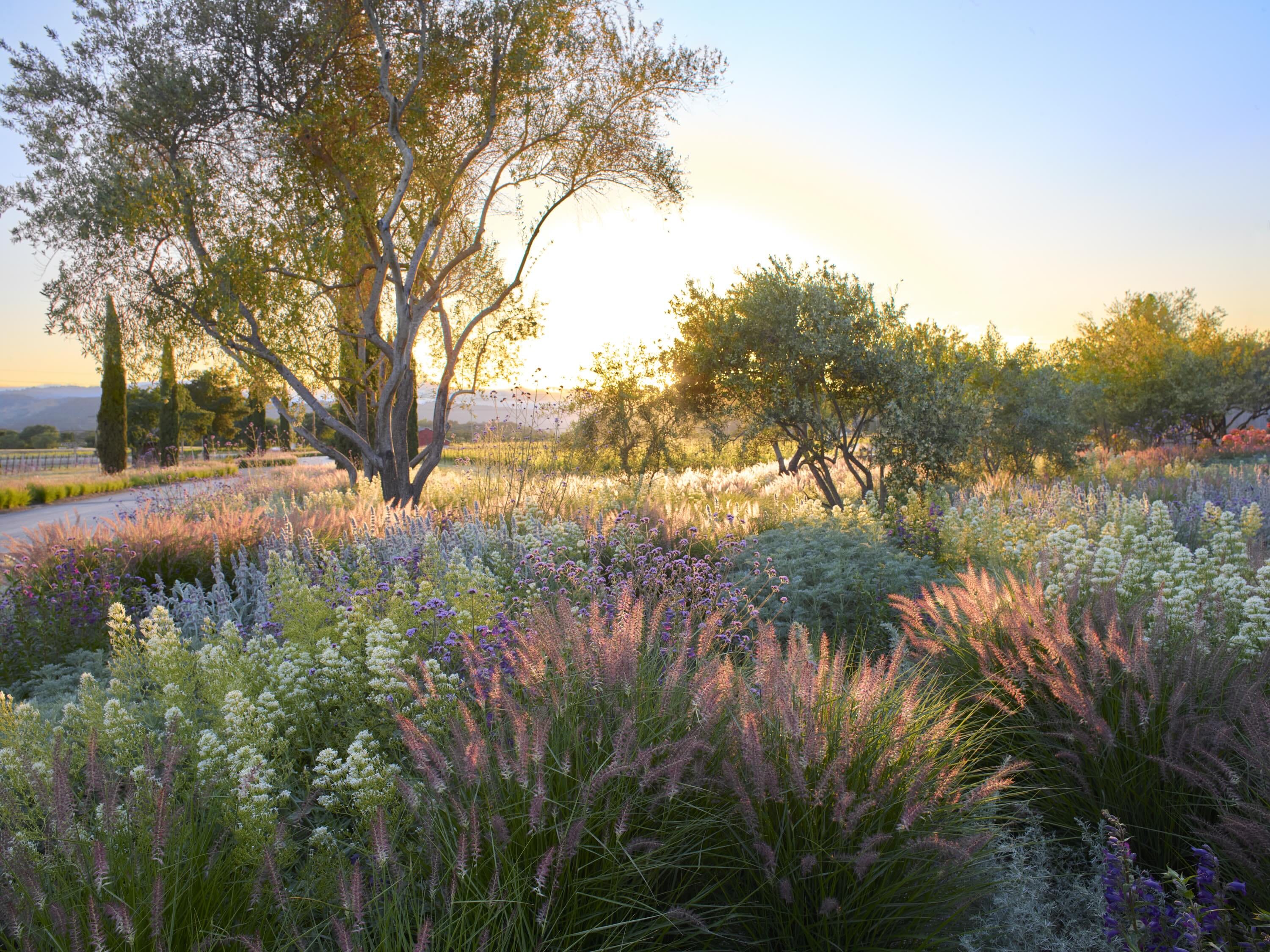 Expert in landscape design? This San Francisco role could be for you ...