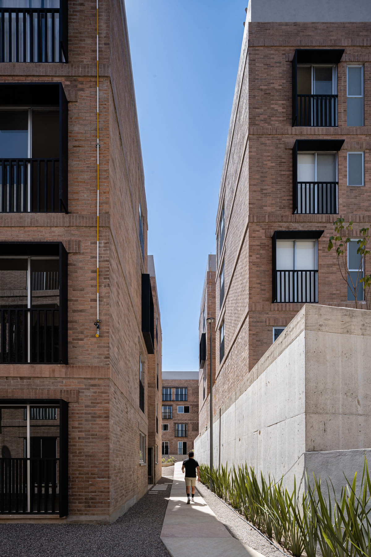 Vertical Bricks | Oscar Hernández | Archinect