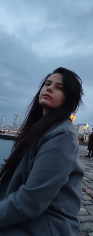 Yaren Arslan | Archinect