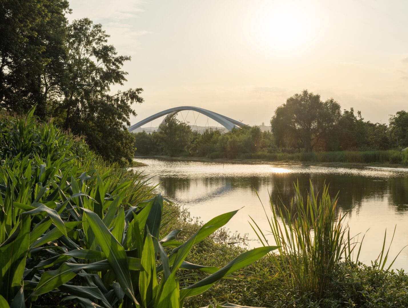 For World Engineering Day, these six bridges stand as examples of the ...