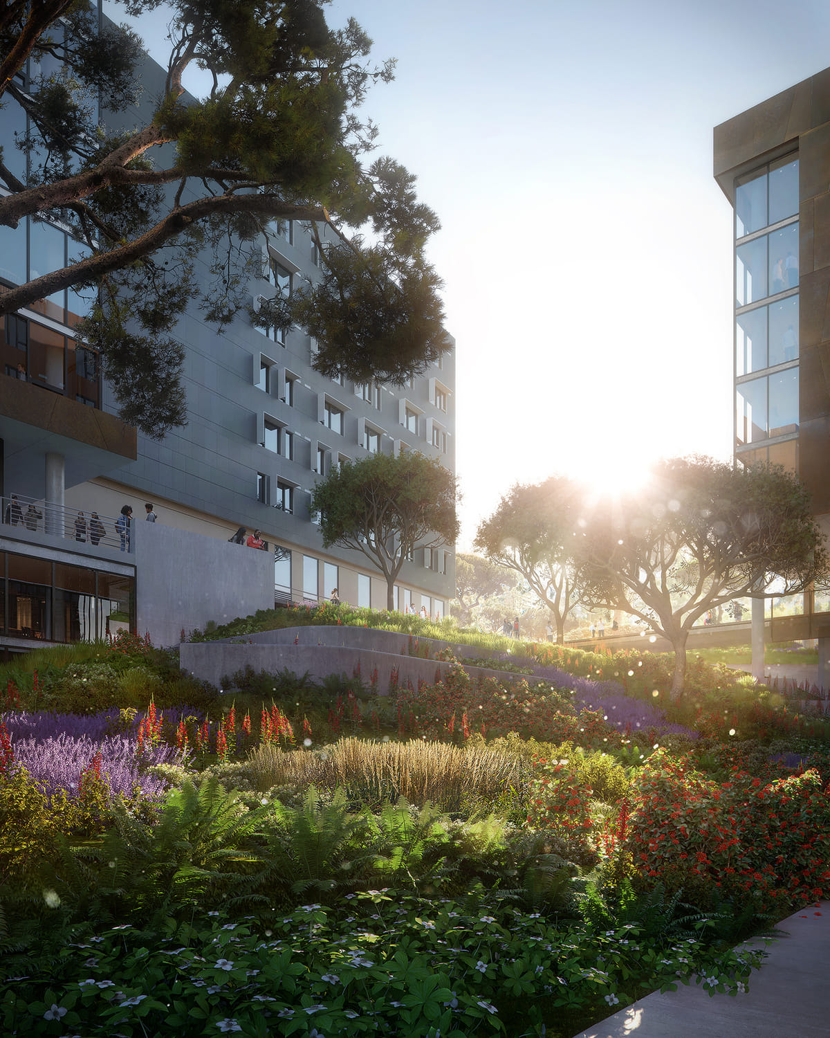 UCLA Lot 15 Residence Halls | MITHUN | Archinect