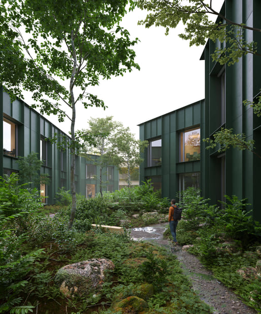 CHYBIK+KRISTOF debuts mass timber design for Czech National Forestry ...