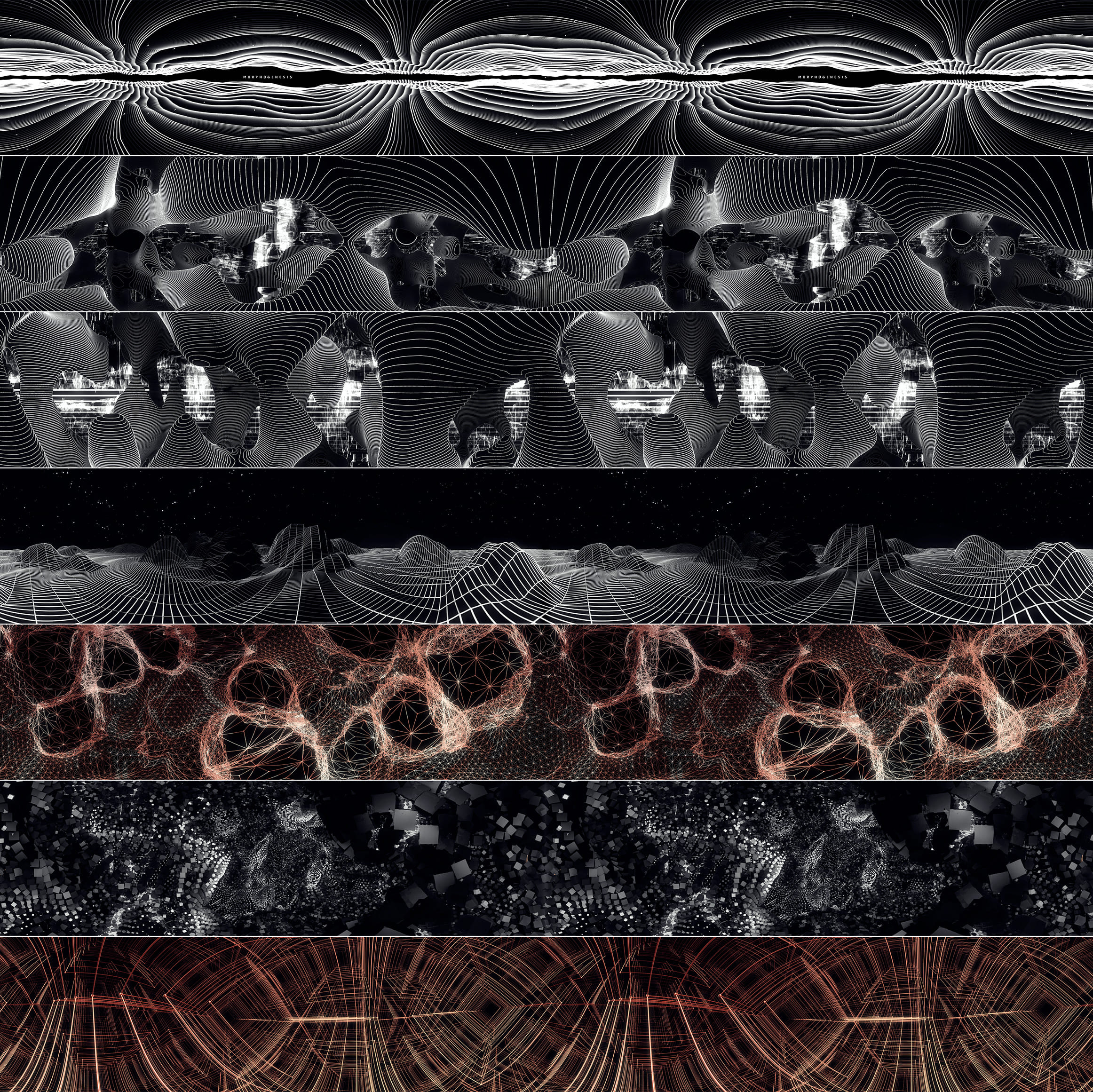 Morphogenesis, an Odyssey Through the Digital and Physical World ...